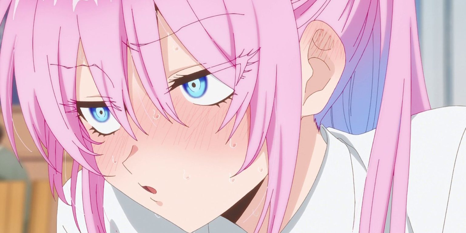 Complete Anime That Are Full Manga Adaptations