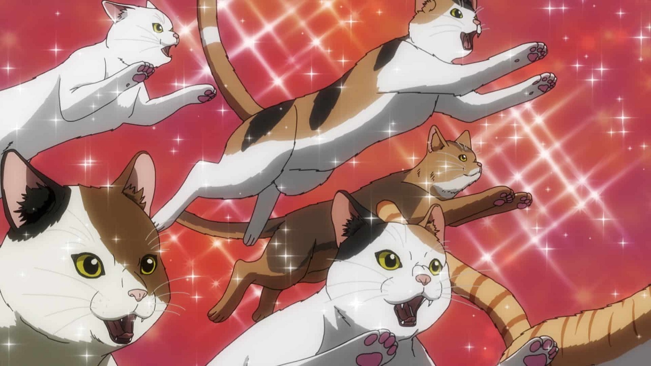 Where Does The Nyaight of the Living Cat Anime End In The Manga?